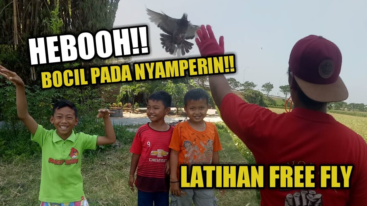 HEBOOH | Burung Cepat Free Fly! Lakukan Cara ini | BOCIL - YouTube
