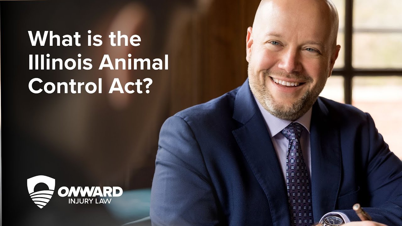 What is the Illinois Animal Control Act? - YouTube