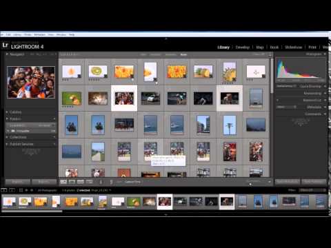 Library Paneli Lightroom Dersleri
