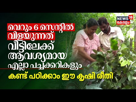 Ente Krishi | 6 Centൽ വിളയുന്നത് വീട്ടിലേക്ക് വേണ്ട എല്ലാ പച്ചക്കറികളും, കണ്ട് പഠിക്കാം ഈ കൃഷി, N18V