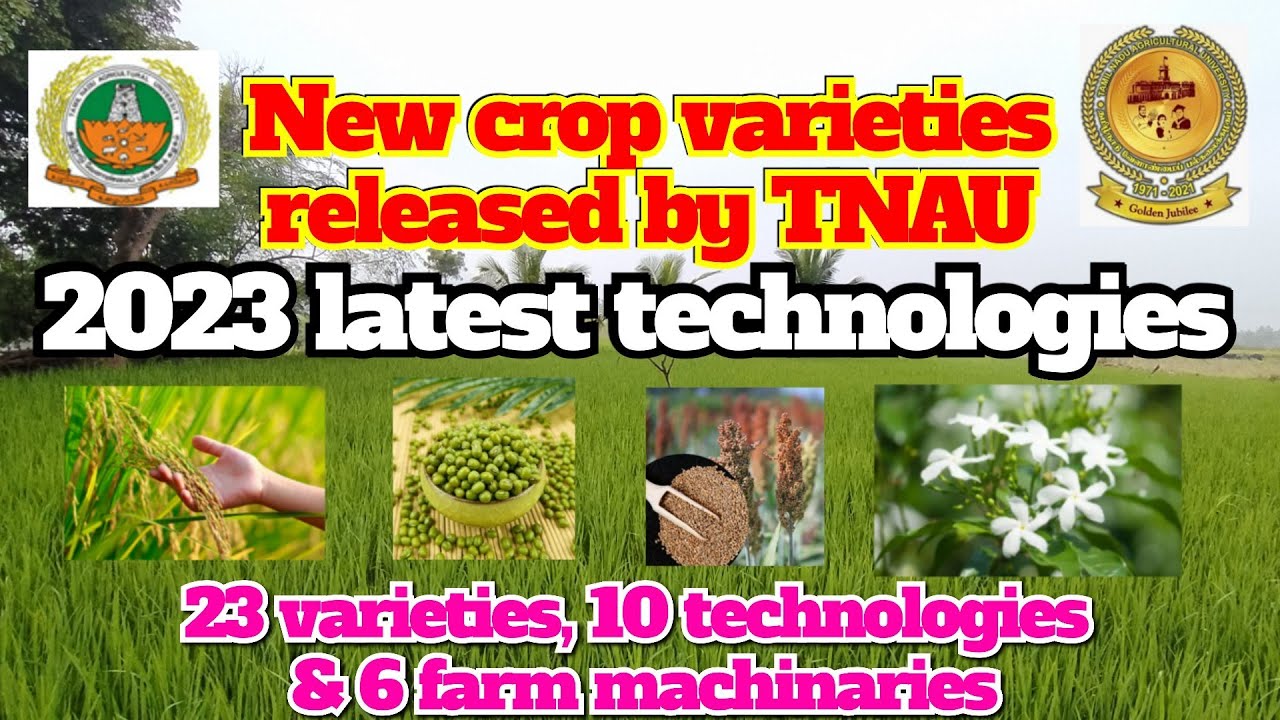2023 latest new crop varieties & technologies released by TNAU | TNPSC ...