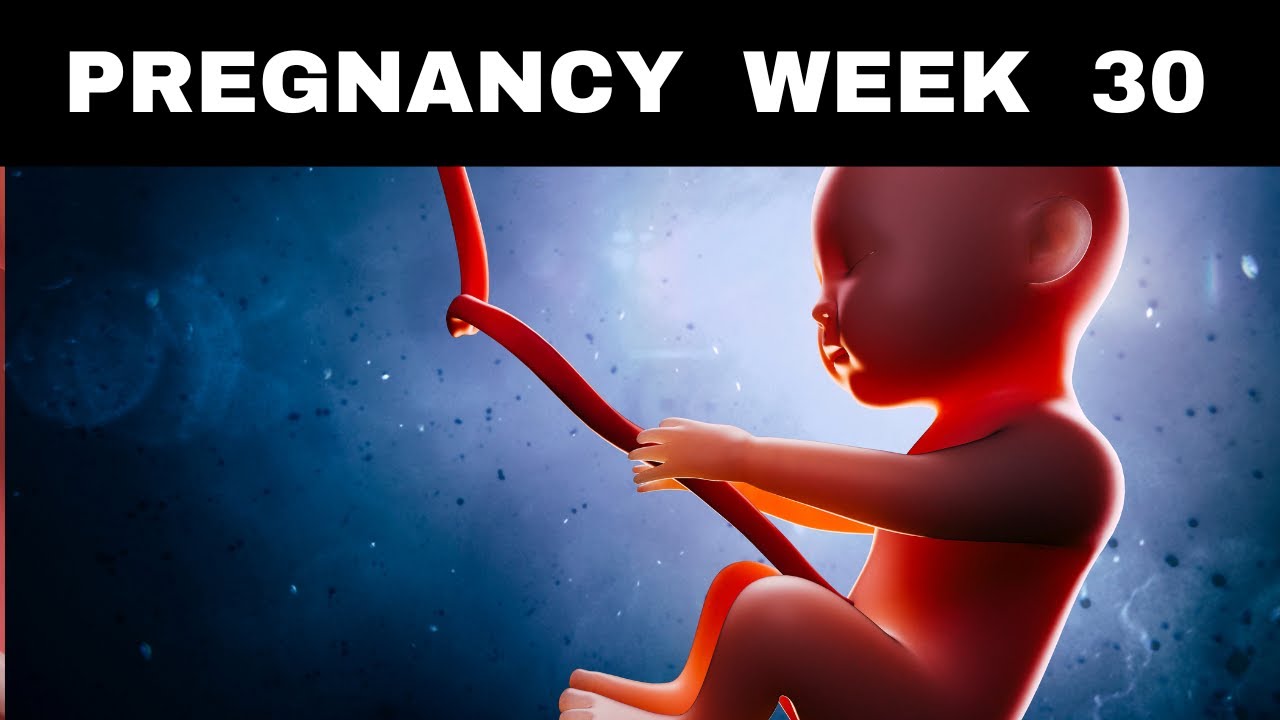 Pregnancy Week 30: Baby Development, Symptoms, & Tips - YouTube