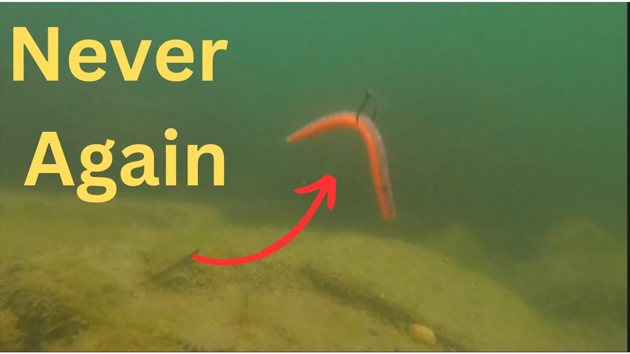 You'll NEVER fish the WACKY RIG the SAME! (modifications, Tips ...