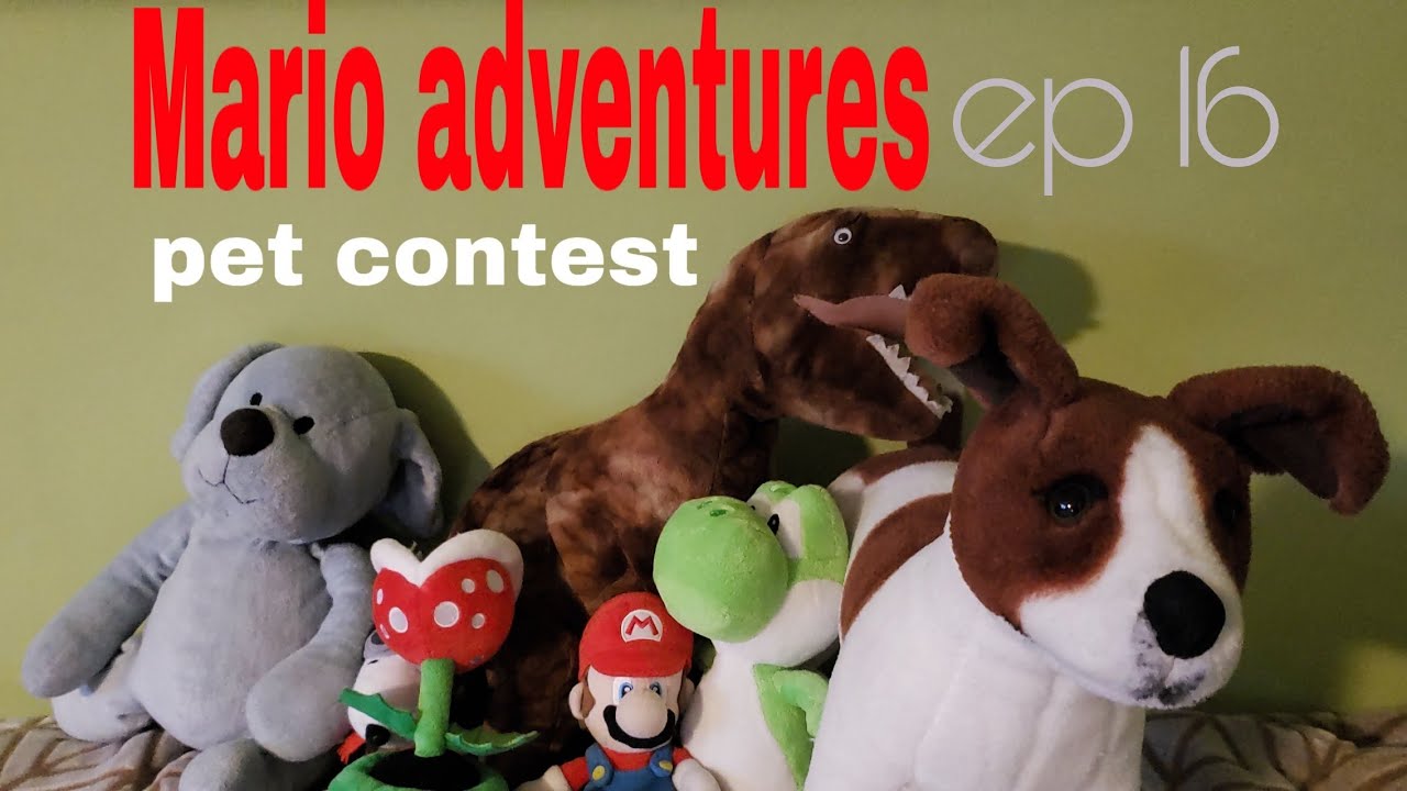Mario adventures ep 16 pet contest - YouTube