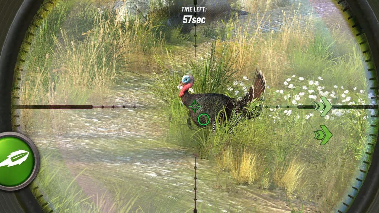 Shooting Wild Animals.. Multiplayer Shooting Games .. Hunting clash ...