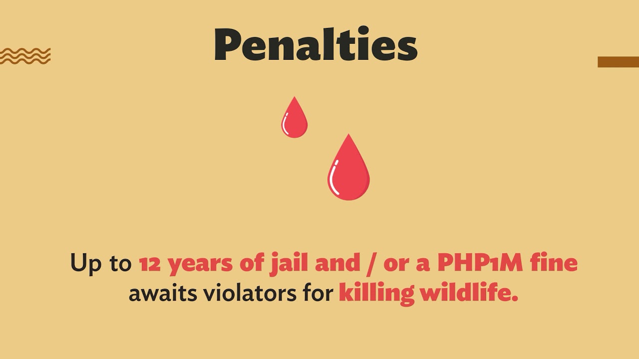 RA 9147 Revision (Wildlife Resources Conservation and Protection Act ...