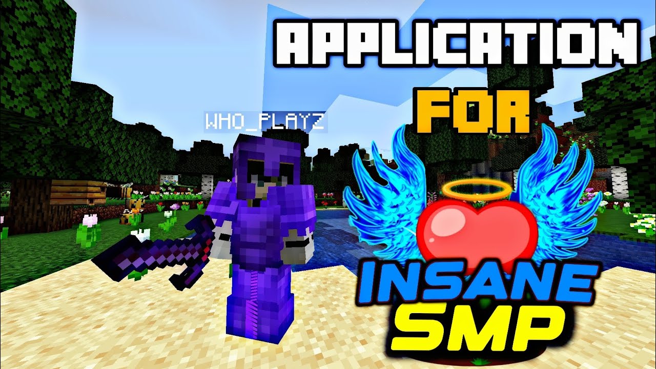 My application for INSANE SMP | application video for insane smp ...