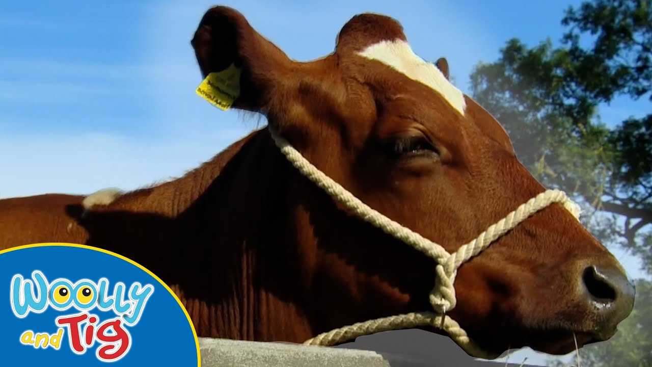 @WoollyandTigOfficial - Big Scary Cows! 🐮 | Short | TV Show for Kids ...