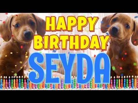 Happy Birthday Seyda! ( Funny Talking Dogs ) What Is Free On My Birthday