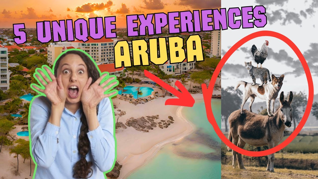 Aruba Top 5 Unique Experiences Revealed! | HIDDEN Cave Pool, Natural ...