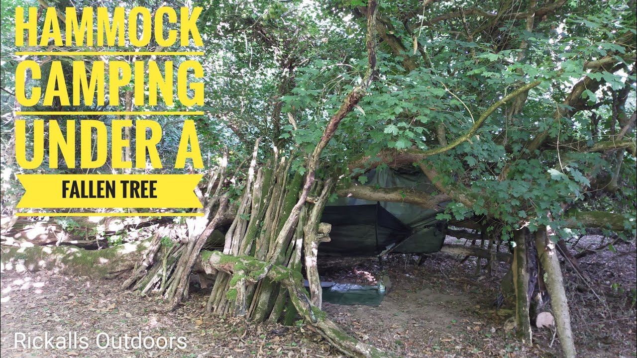 Hammock camp under a fallen tree! | alone in the woods - YouTube