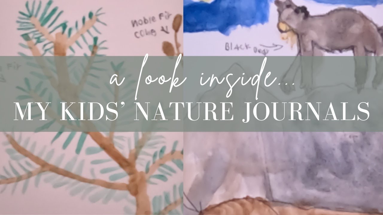 My Kids' Nature Notebooks | A LOOK INSIDE! - YouTube