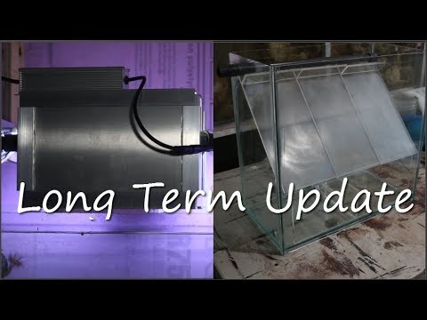DIY Algae Filter Update - YouTube