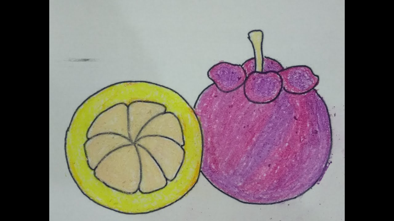 coloring mangosteen with crayon | mewarnai buah manggis dengan crayon ...