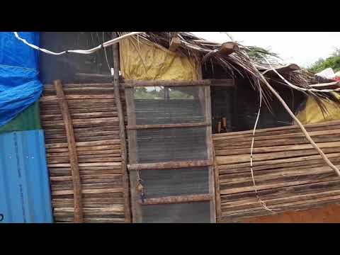 nati koli shed at low cost - YouTube