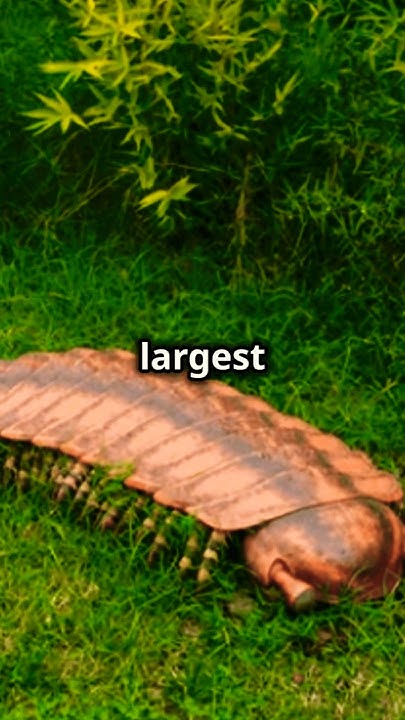 Meet Arthropleura The Giant Millipede of Prehistoric Times! #shorts ...