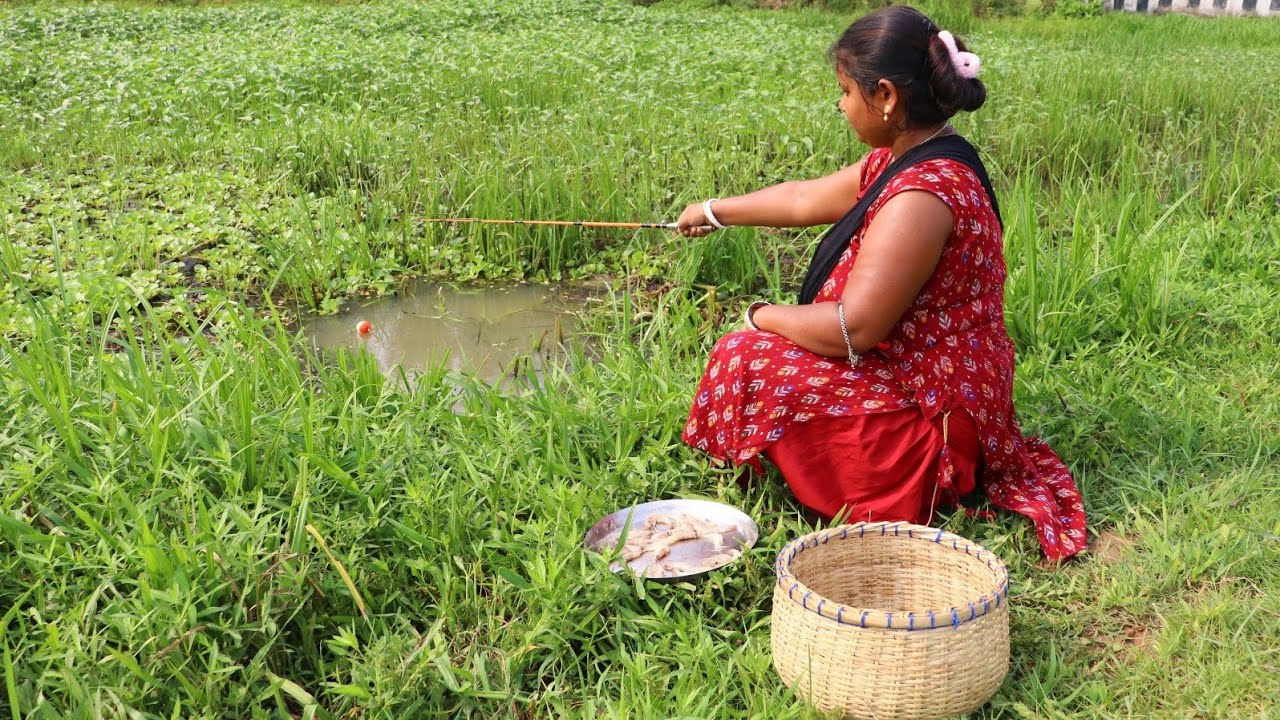 Fish Hunting || Look how the beautiful girl caught fish in the field ...