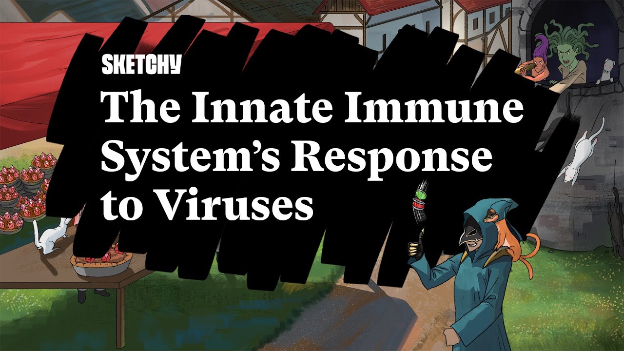 The Innate Immune System's Response to Viruses (Part 1) | Sketchy ...