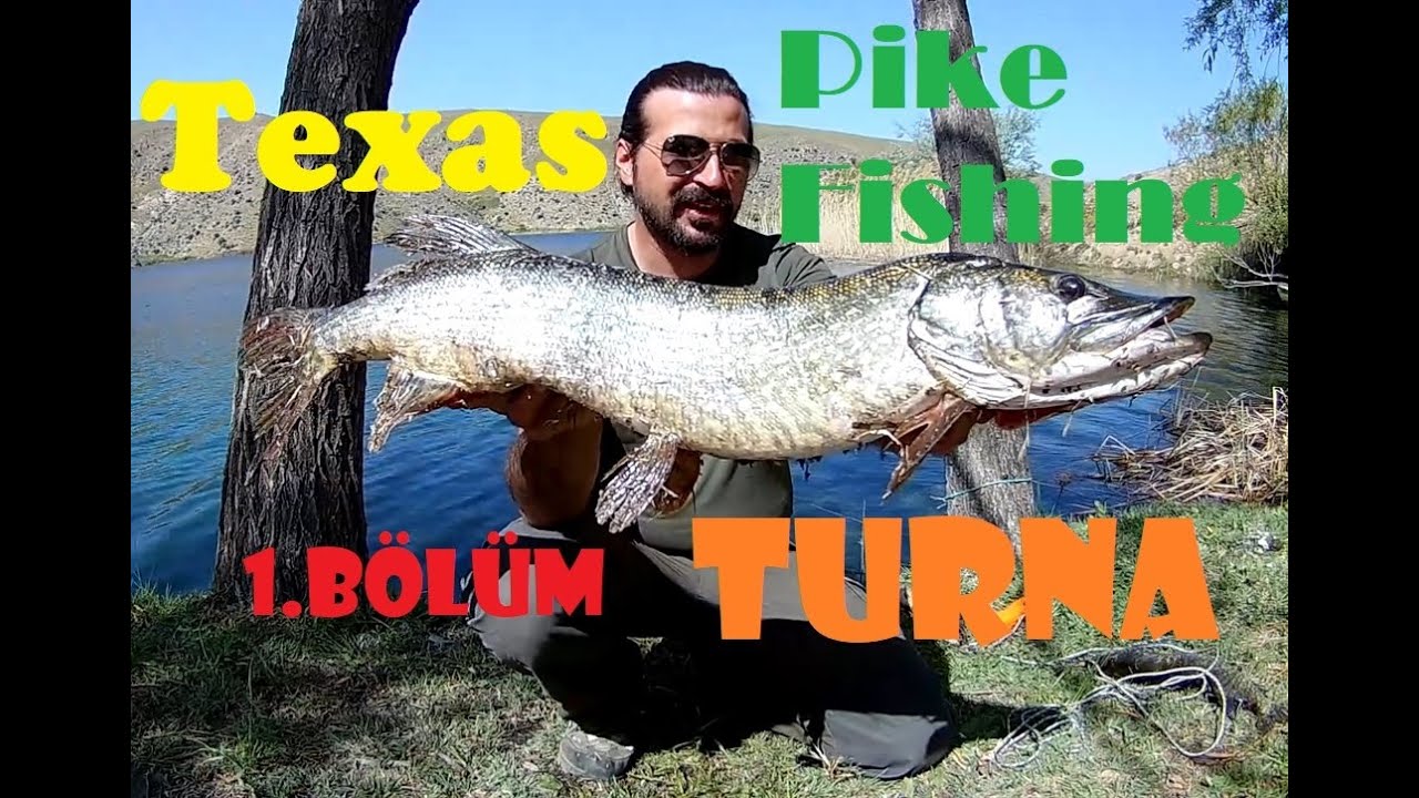 Turna Avı Pike Fishing GREEN LAKE Calhoun County Texas 1. Bölüm - YouTube