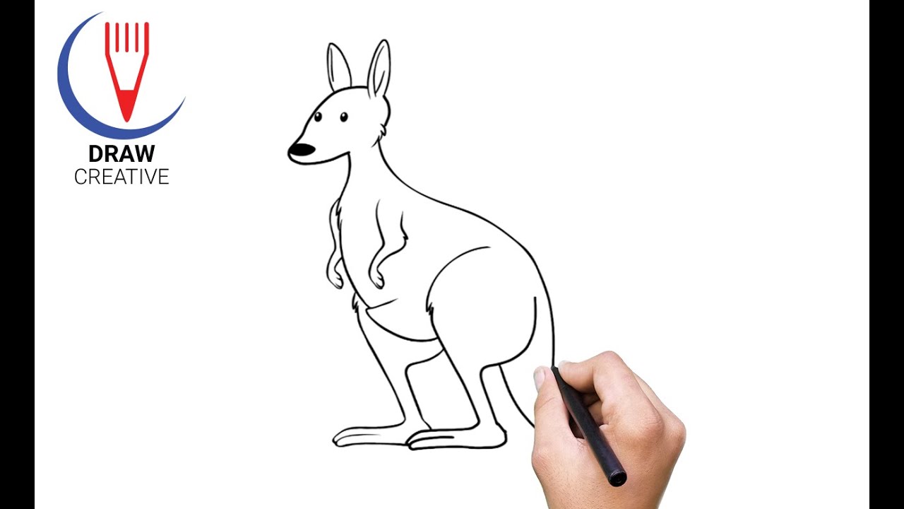 How to Draw a Kangaroo | How to Draw a Kangaroo Easy Step by Step ...
