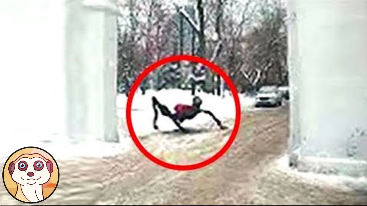 CREATURE MISTERIOSE CHE VIVONO A CHERNOBYL - YouTube
