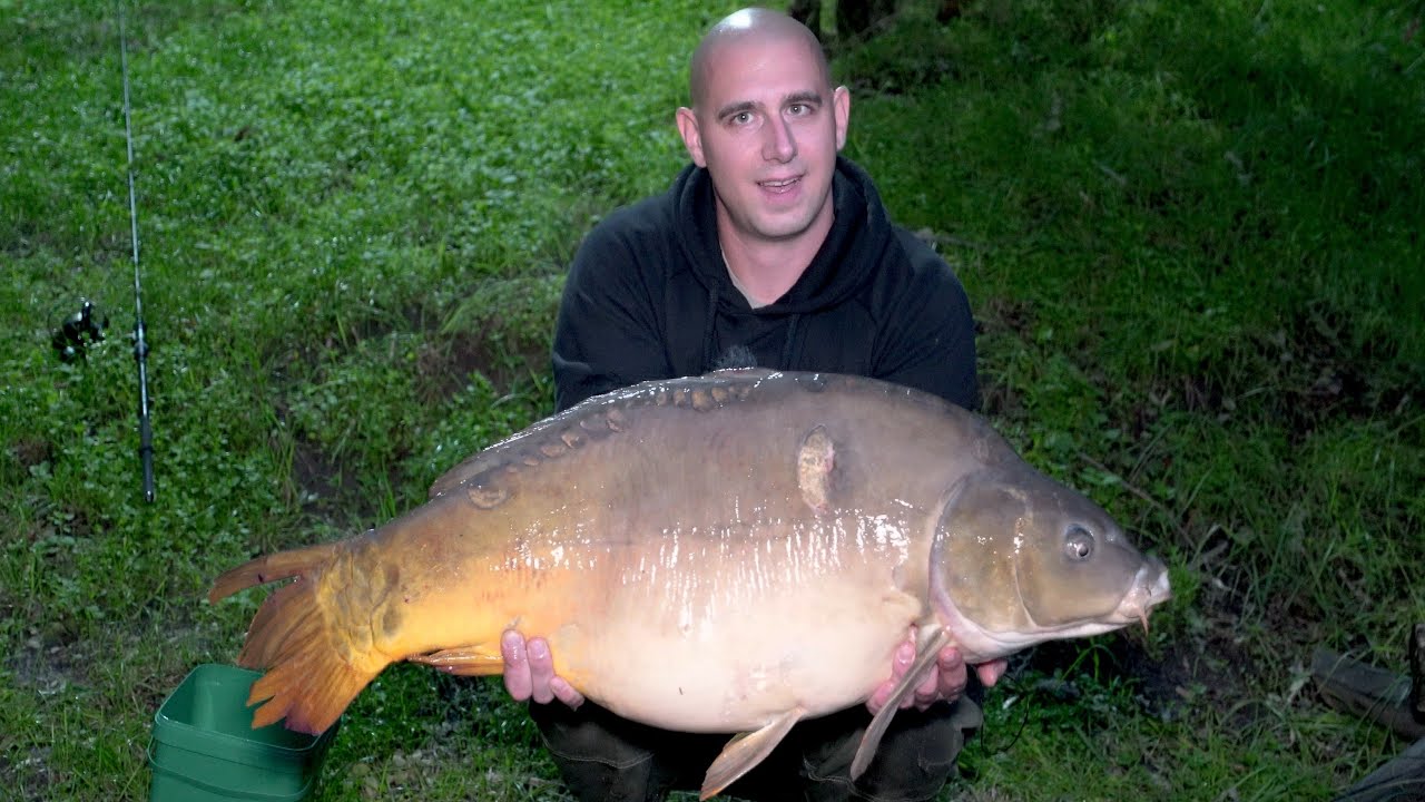 Najbolje Vreme Za Pecanje Sarana - YouTube