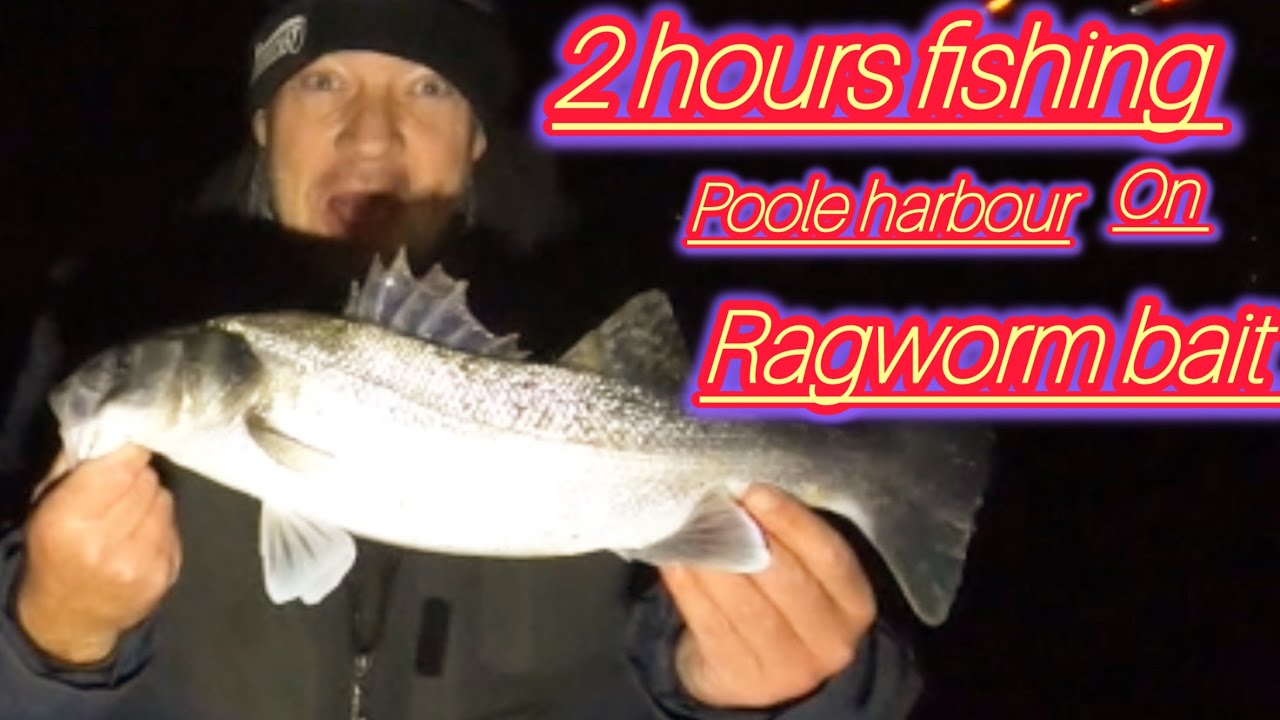 Fishing A Different Location With Results Poole Harbour - YouTube
