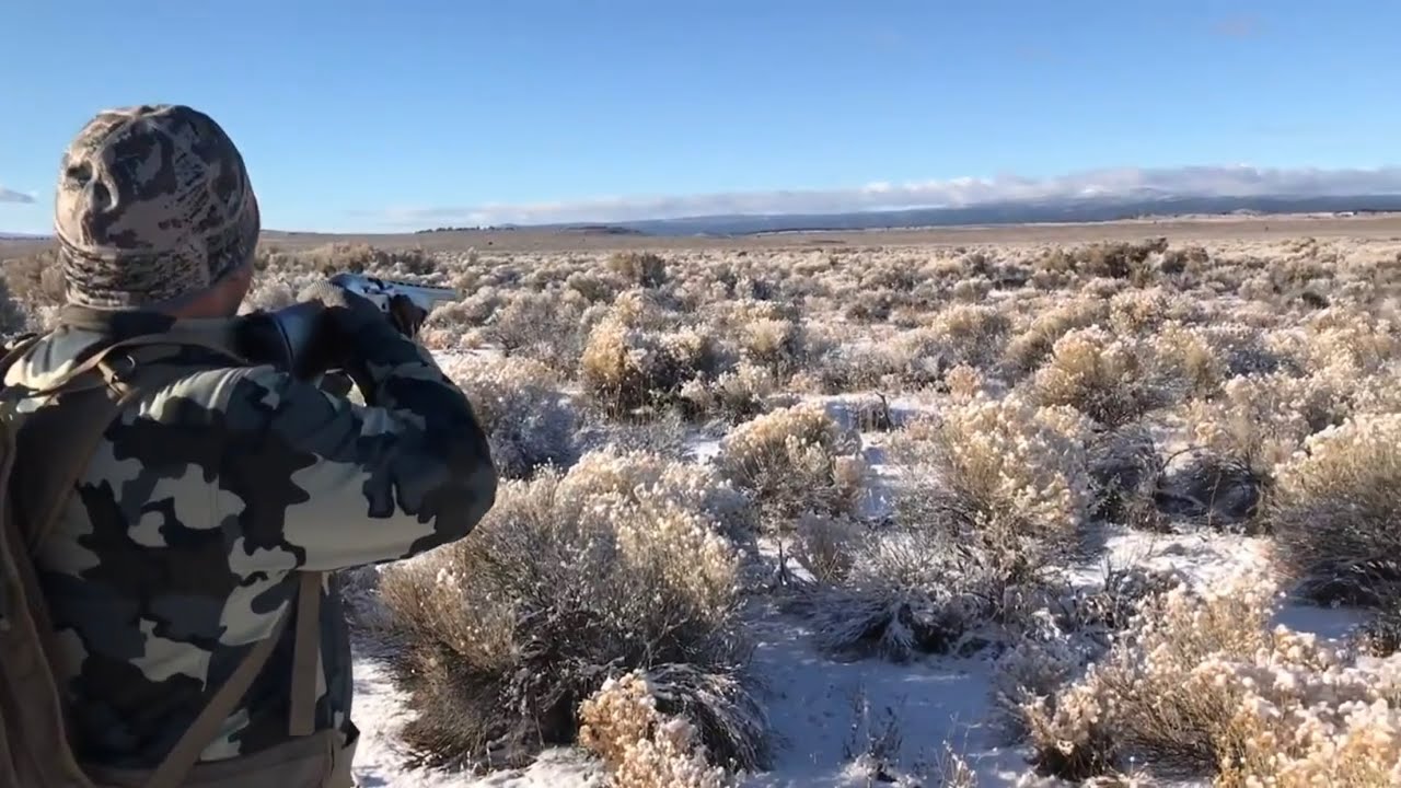 Rabbit Hunting In Oregon - Central Oregon - YouTube