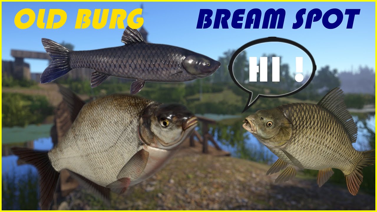 Bream , carp Old Burg | Russian Fishing 4 rf4 spot #246 - YouTube