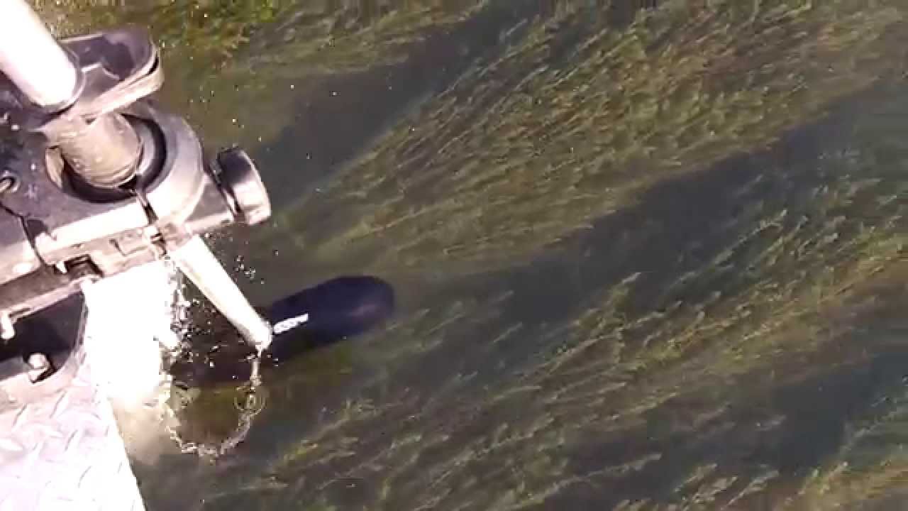 Safari Weedless Propeller in action - YouTube
