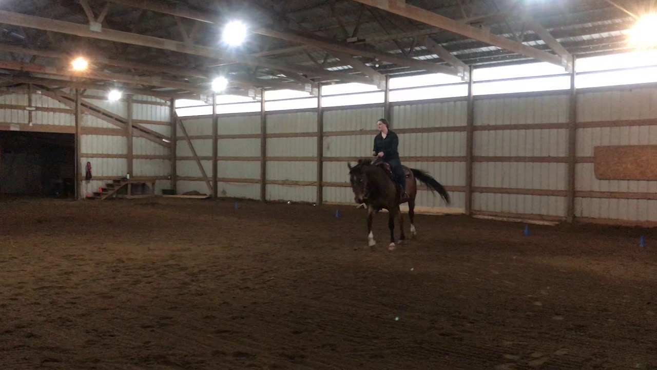 #201 Amateur Horsemanship Class #28 - YouTube