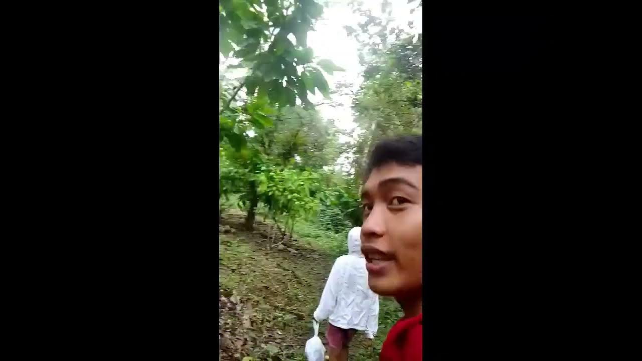 Adventure and Quick visit of Bag-ong Maslog Mountain Ridge - YouTube