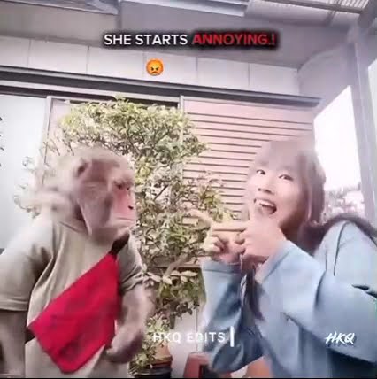 MONKEY BRO WTF - YouTube