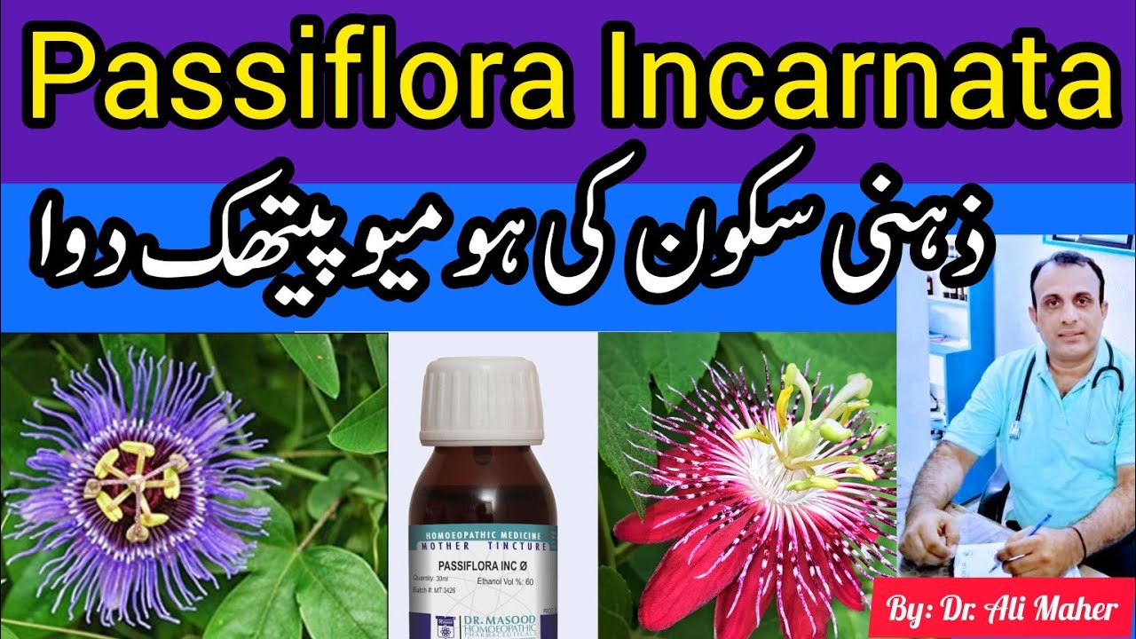 Homoeopathic Medicine Passiflora Incarnata for stress #dralimaher - YouTube