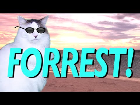 HAPPY BIRTHDAY FORREST! - EPIC CAT Happy Birthday Song - YouTube