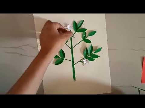 parts of plant science model | science TLM | parts of plant project ...