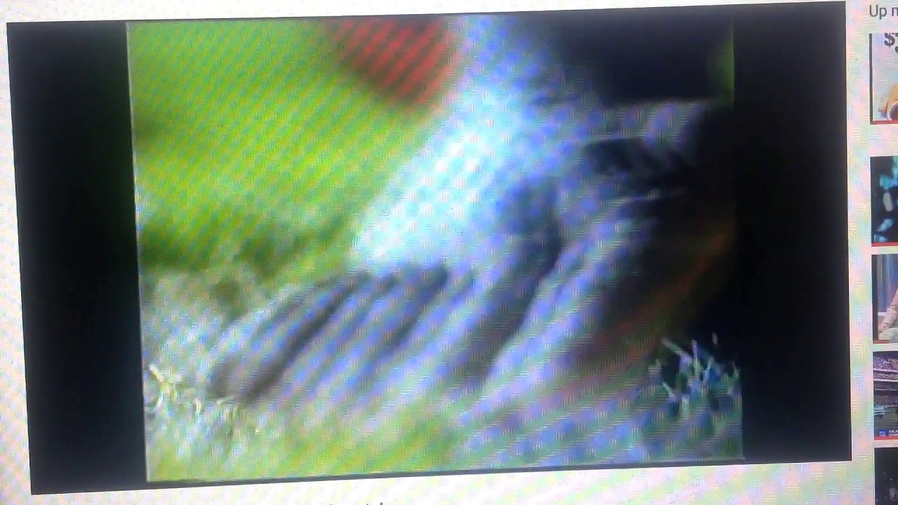 Pfizer 2002 Ad - YouTube