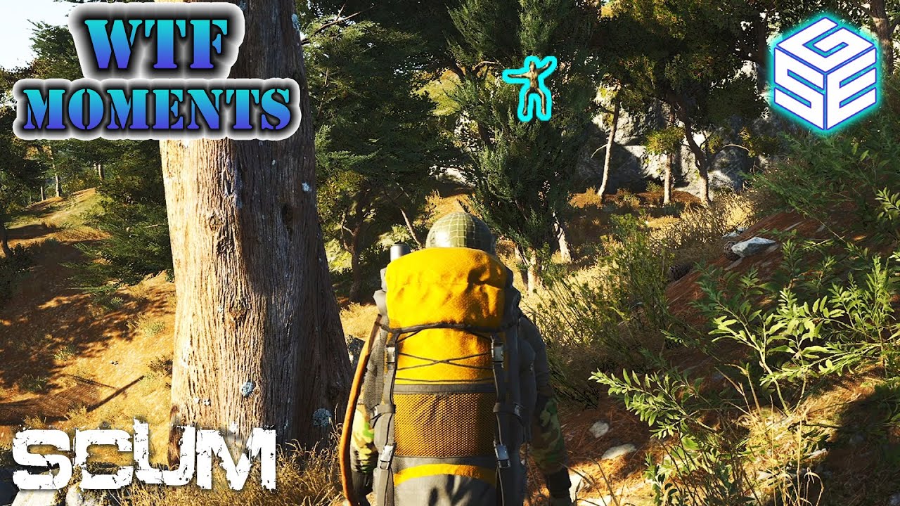 WTF - There's A Puppet In The Tree | SCUM - YouTube