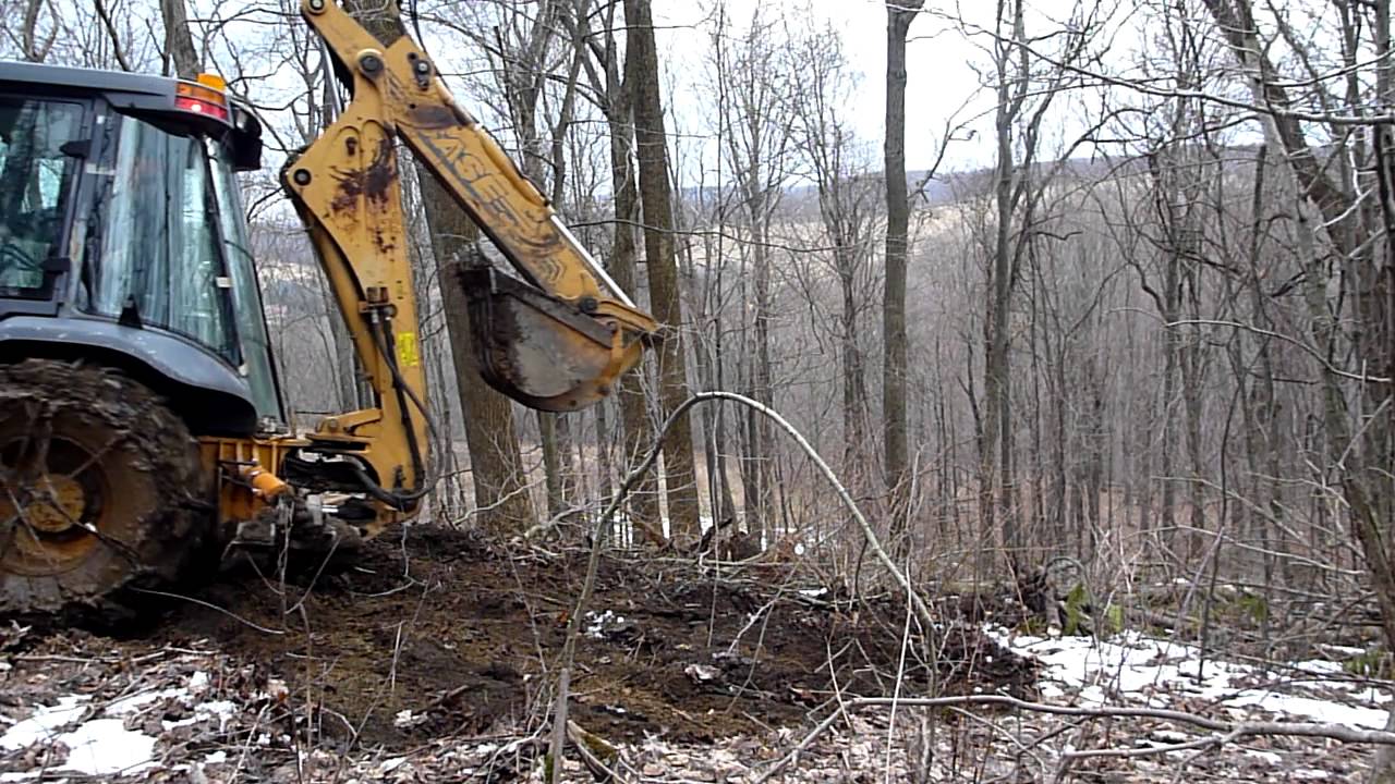 Backhoe Clearing Way to Push Over a Tree - YouTube