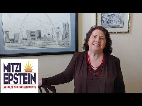 Mitzi Epstein -AZ Representative For Small Businesses 2020 - YouTube