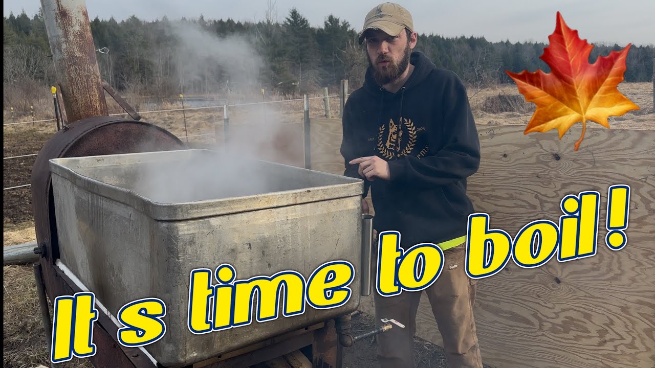 First maple syrup boil of 2025 - YouTube
