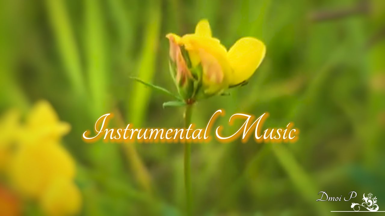 Relaxing Instrumental Music (guitar) ll No Copyright - YouTube