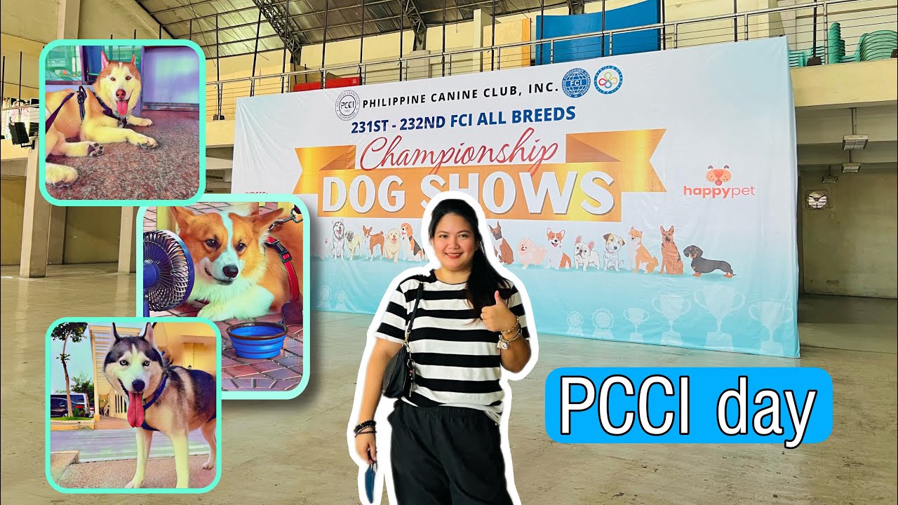 Transfer of Ownership | PCCI - YouTube