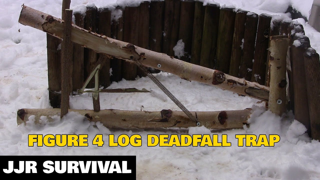 FIGURE 4 LOG DEADFALL TRAP - YouTube