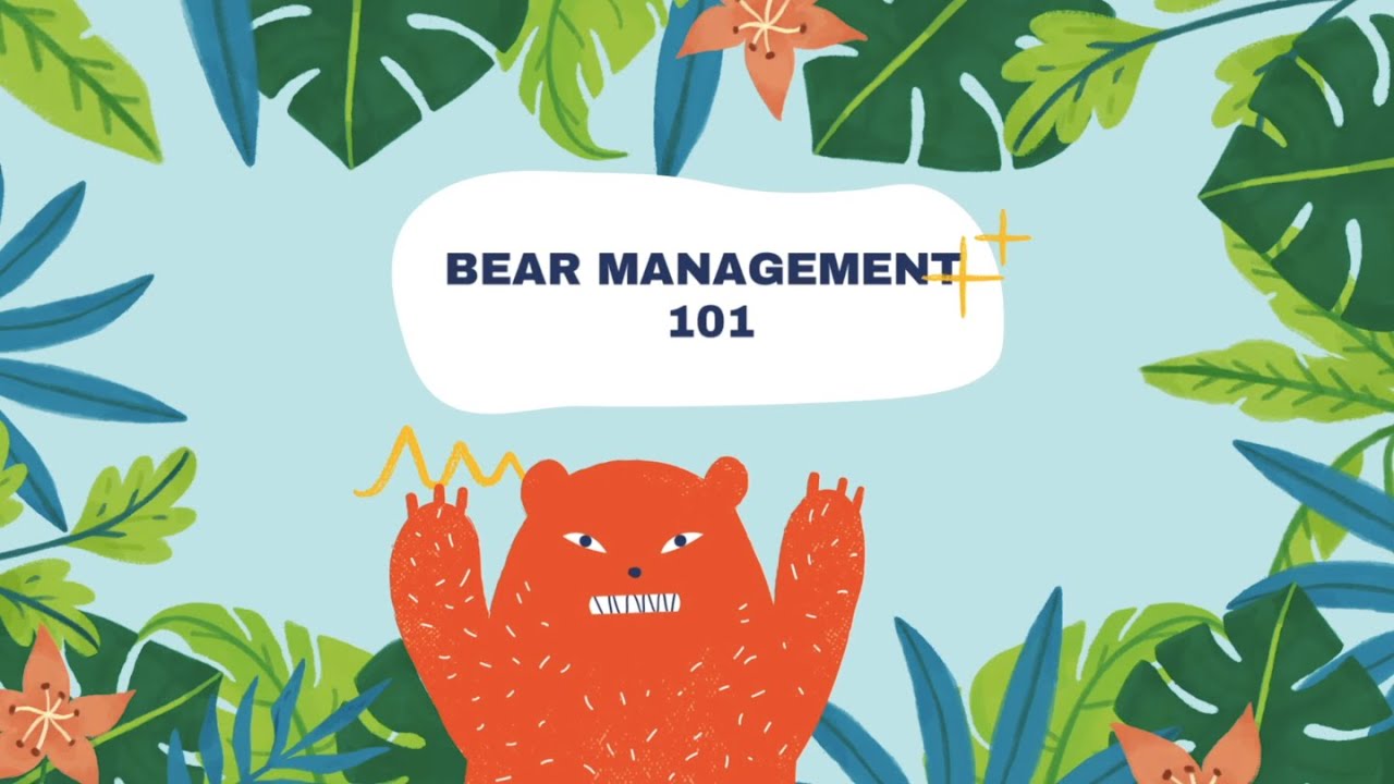 Bear management 101 - YouTube