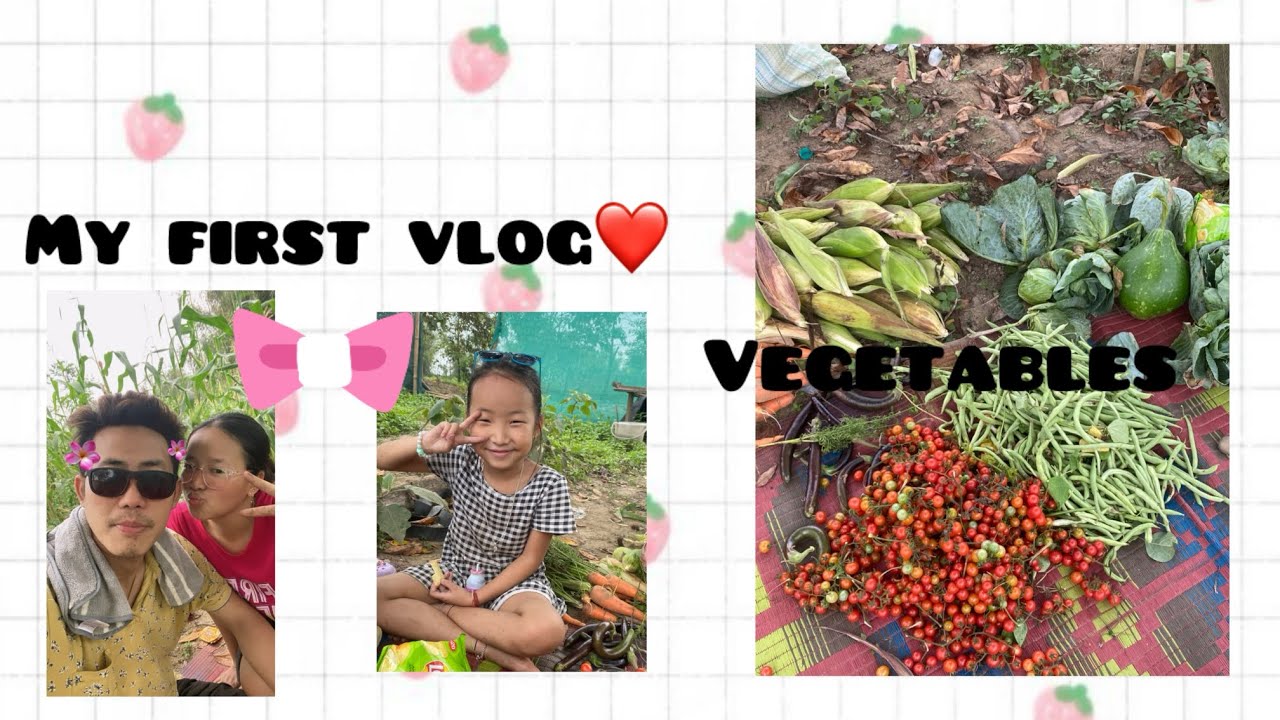 MY FIRST VLOG HARVESTING SOME VEGETABLES FROM GARDEN 🥕🍅🌶️🌽🥬kindly ...