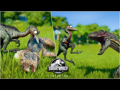 TROODON Interactions vs All Dinosaurs | Jurassic World Evolution