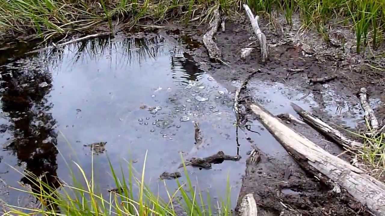 Cold Boiling Lake, Lassen National Park - YouTube
