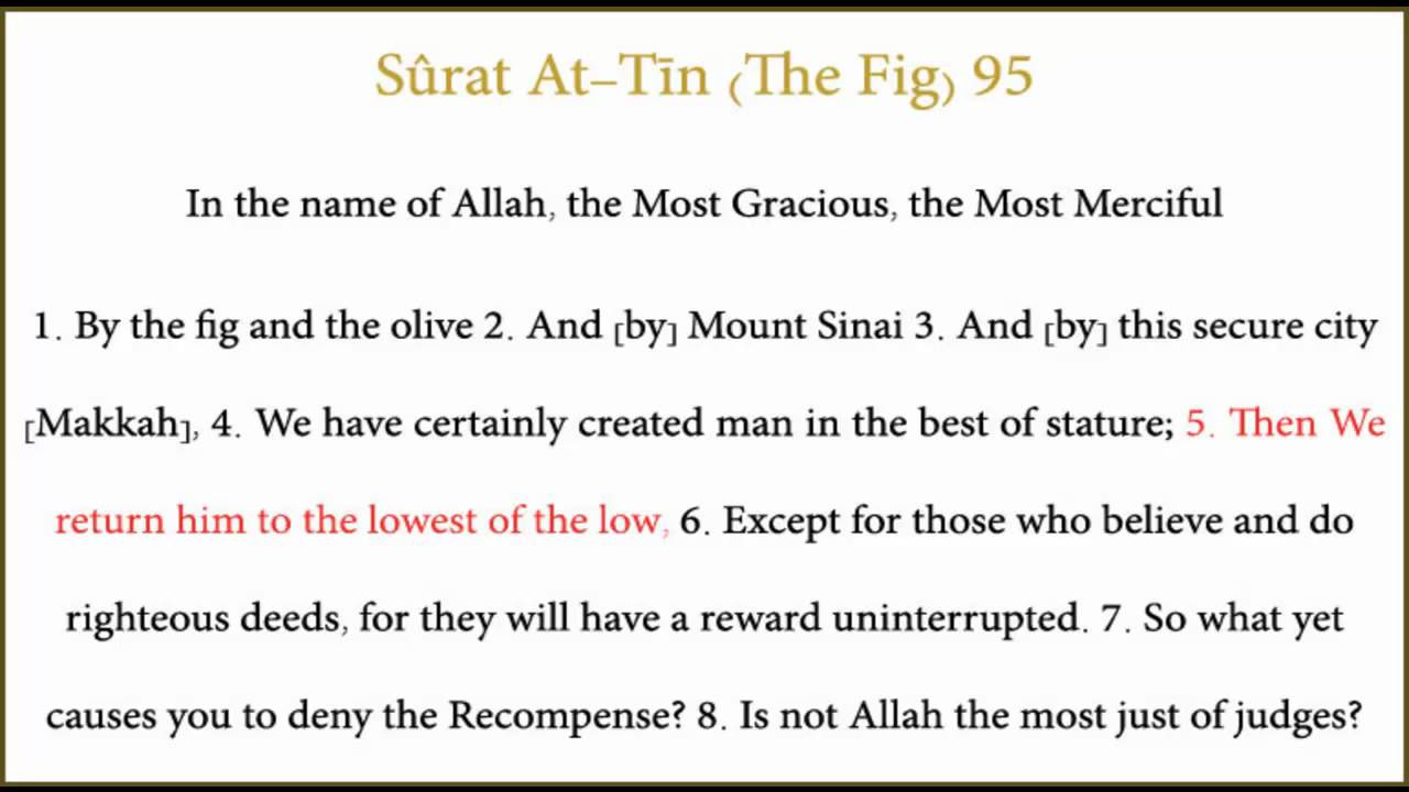 Surat At-Tin (The Fig) 95, Sheikh Mohammed ayoub - YouTube