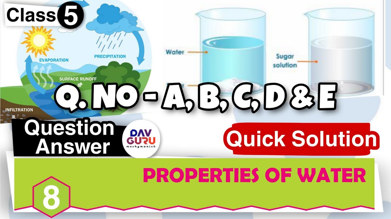 Chapter 8 Properties Of Water DAV Class 5 Science Question Answer chapter-8-properties-of-water-dav-class-5-science-question-answer
